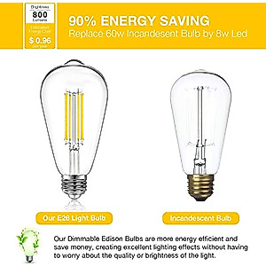 DAYBETTER Vintage LED Edison Bulbs 60 Watt Equivalent, ST58 Antique LED Filament Light Bulbs, Dimmable Led Bulb with E26 Medium Base, Warm White 2700K, Brightness 8W, 800LM, Clear Glass, 3 Packs