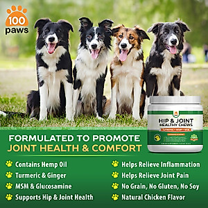 100 Paws Hip & Joint Supplement for Dogs - Hemp Oil Infused Soft Chews Dog Treats w/Glucosamine, Turmeric, Chondroitin, MSM & Omega 3 6 9 -Supports Pet Mobility & Pain Relief-120 Treat Bites