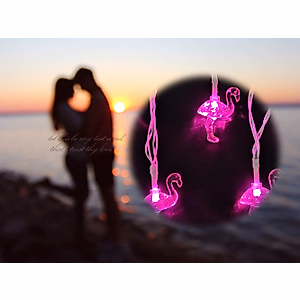 WIND Flamingos Holiday LED Christmas Light Phone Charging Cable, 8 LED Pink 50inch Charger Cord for Phone 14/Pro Max/Pro/Plus,Phone 13/Pro Max/Pro/Mini,12 Pro Max/11 Pro/8/7 Airpods etc