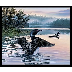 Elizabeth Studios 36" X 44" Panel Loons on Lake Birds Wildlife Nature Landscape Scenic Black Cotton Fabric Panel (8916BLACK)
