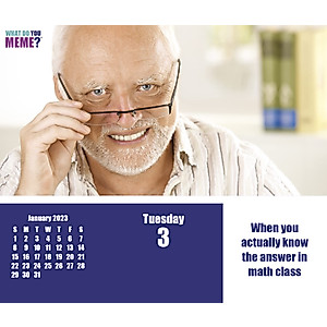 2023 What Do You Meme? Day-at-a-Time Box Calendar