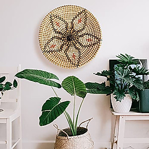 Rattan Wall Baskets Woven Basket Wall Decor - Wall Wicker Basket Decor Boho Basket Bowls Wall Decor - Round Seagrass Baskets Farmhouse Home Decor(Set of 3)