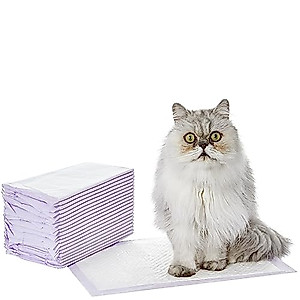 Amazon Basics Cat Pad Refills for Litter Box, Unscented - Pack of 20, Purple and White