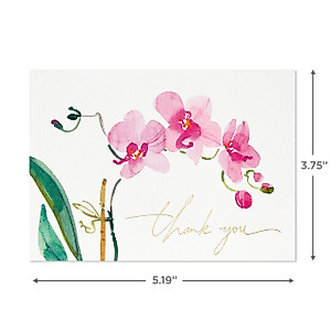 Hallmark Pink Orchid Thank You Notes (20 Blank Cards with Envelopes) for Bridal Shower, Baby Shower, Wedding, Birthday