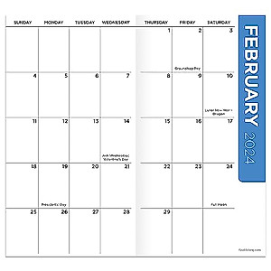TF PUBLISHING 2024-2025 Kittens 2-Year Small Monthly Pocket Planner | 2-Page Large Calendar Grid and Lined Notes Section in Back | Monthly Day Planner for Purse | 3.5" x 6.5"