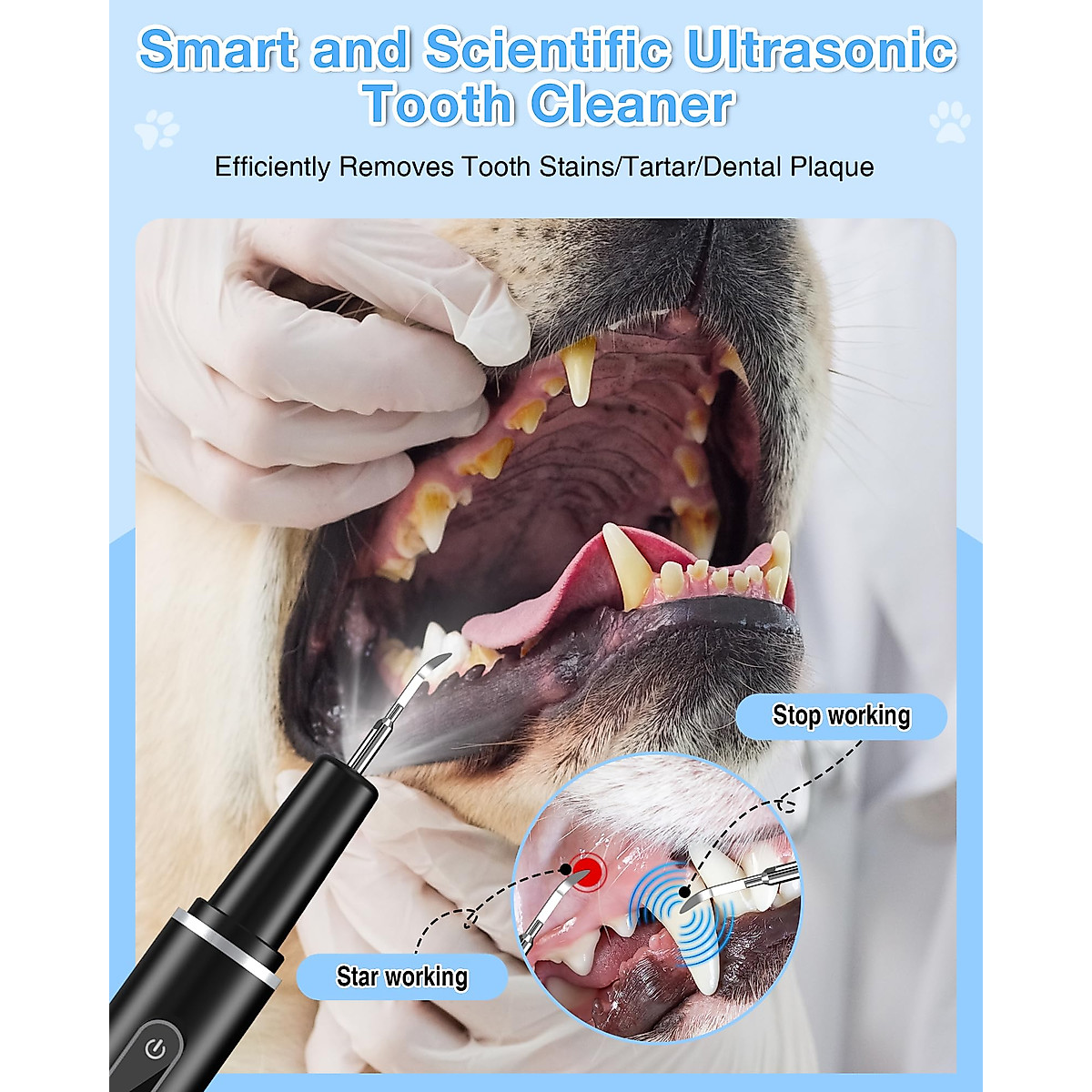 YXFAIRY Dog Tartar Remover for Teeth, Dog Plaque Remover for Teeth, Dog Ultrasonic Teeth Cleaner Toothbrush for Dog Cat, Teeth Cleaning Kit -Tartar Remover for Teeth Stains (Black, 8.46 in)