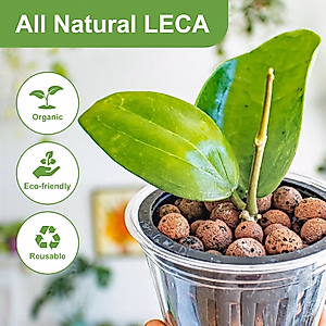 Pulovin 2.5 lbs LECA Balls for Indoor Plants, 4-16mm Clay Pebbles for Plants Hydroponic, Aquaponics, Natural Leca Balls for Soil Root Development, Orchid Potting Mix