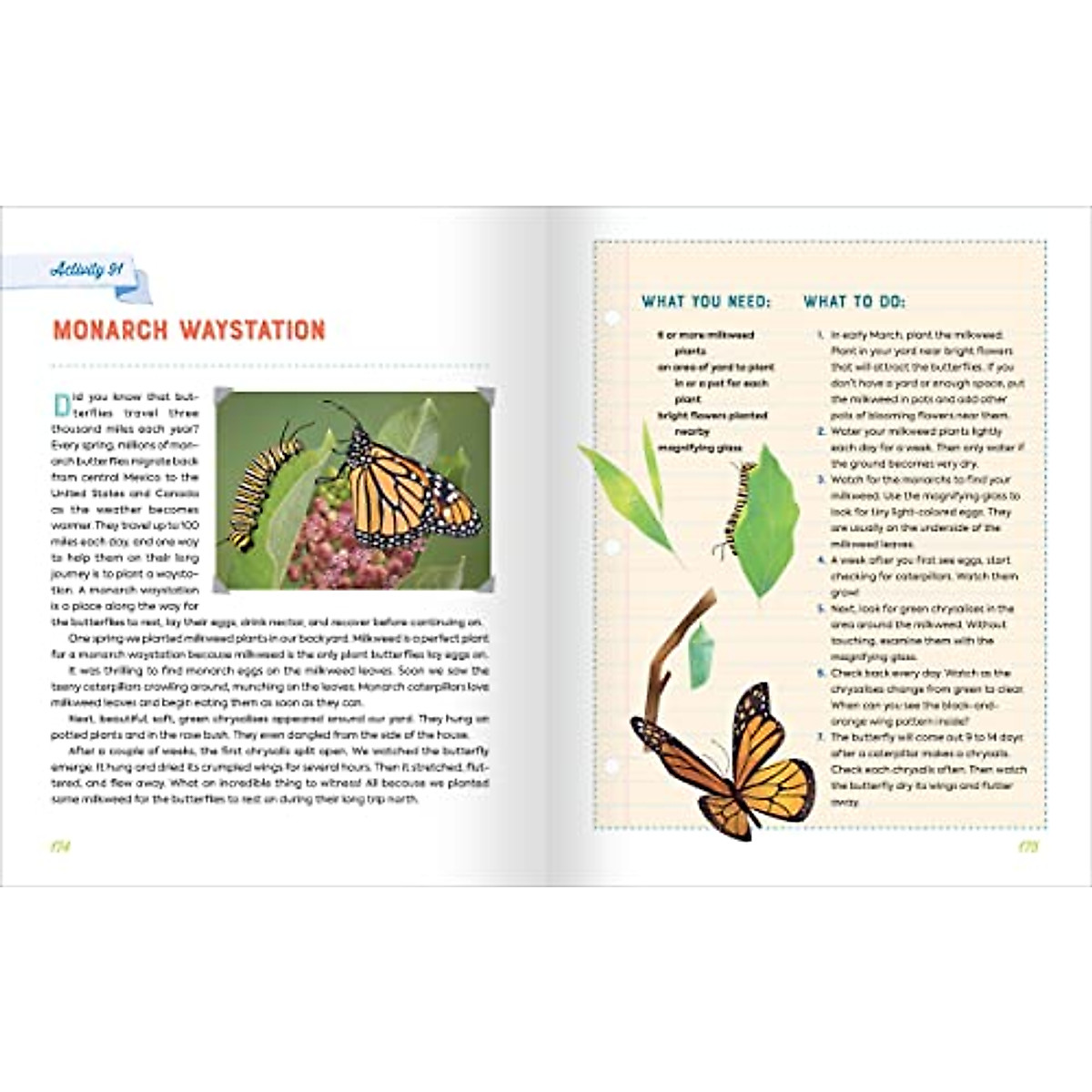 100 Days of Adventure: Nature Activities, Creative Projects, and Field Trips for Every Season