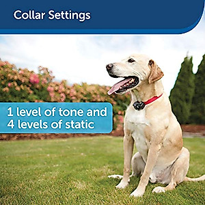 Petsafe Extra Receiver Collar For Pif-300