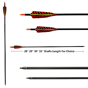 Letszhu Hunting Archery Carbon Arrow, Target Practice Arrow 500 Spine Fletched 4 inch Real Feathers with Field Points for Compound Recurve Longbow (Pack of 6) (29 inch)