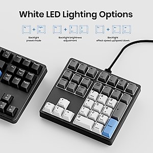 Kisnt Mechanical Number Pad, 34 Key Wired Hot Swappable Keypad, Gateron Switches White Backlit Numpad,USB Numeric Keypad with PBT Keycaps for Laptop, Mac, PC Desktop(Red Switch)