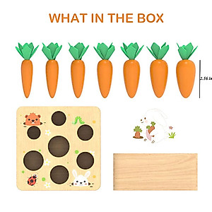 Montessori Toys for 1 Year Old, Wooden Toys Developmental Shape Sorting & Matching Puzzle Carrots Harvest Game, Birthday Gifts for Toddlers Babies Boys and Girls 6-12 Months Christmas
