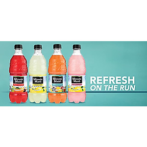 Min Maid Lemonade And Punch 8 Flavors Variety Pack, Lemonade And Fruit Drinks 20 Oz (Pack of 8)