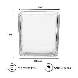 6 Pack Clear Square Glass Vases, Planter Terrarium Flowers Vase Candle Holder for Home,Garden, Wedding Centerpiece Decorations and Formal Dinners (Width 4", Height 4")