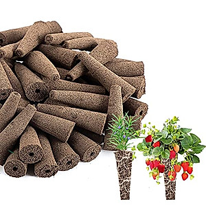 Grow Sponges for Use with AeroGarden, Eco-Friendly Plant Growing Plugs Sponges for Hydroponic Plants Growth, Pack of 50