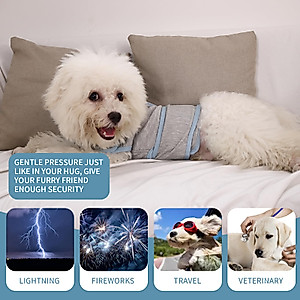 balancepaw Dog Anxiety Vest, Comfort Dog Anxiety Relief Coat, Breathable Dog Calming Vest for Thunderstorm, Travel, Fireworks, Vet Visits（Dog Calming Vest Light Grey Blue M）