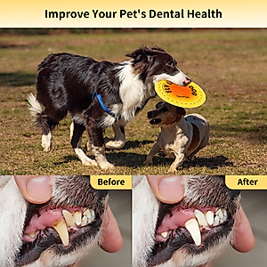 TANOFALO Dog Flying Disc, Dog Flyer Toy 10 Inch, Tear Resistant Soft TPR Material, Durable Interactive Outdoor Dog Fetch Toy-Floats in Water, Safe on Teeth for Large Dog, Puppies(Orange+Pink)