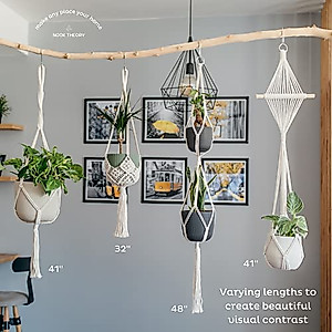 Nook Theory 4-Pack Macrame Plant Hanger - with 8 Ceiling Hooks - Hanging Planter Indoor Outdoor - Hanging Plant Holder - Decorative Bohemian Plant Hangers - Hanging Plants (Cream)