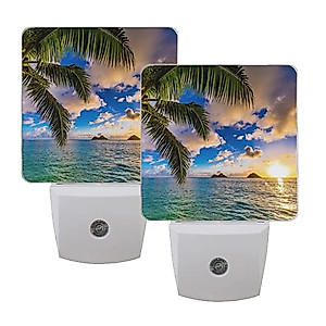 JOYPRINT Led Night Light Tropical Hawaii Palm Tree Ocean Sea Sunset, Auto Senor Dusk to Dawn Night Light Plug in for Kids Baby Girls Boys Adults Room