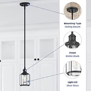 Prominence Home Lincoln Woods 1 Light Matte Black Industrial Pendant Light with Cage and Clear Glass