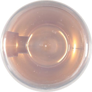 Maui Moisture Flexible Hold + Coconut Milk Curl Foam Mousse, for Curly Hair Styling, No Drying Alcohols, Parabens or Silicone, 8.5oz