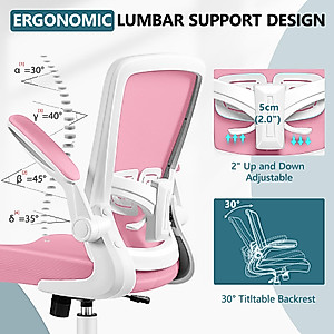 MINLOVE Office Chair Ergonomic Desk Chair with Adjustable Lumbar Support and Height, 90° Flip-up Armrests, Ergo Desk Chairs with Wheels, Home Work Use (Pink)