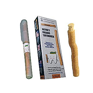 SEWAK Miswak Sticks for Teeth Natural Toothbrush | مسواك | Siwak Organic Wooden Tooth Brush Oral Teeth Whitener with Holder | Vacuum Sealed