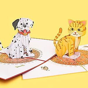 PopLife Funny Kitten Pop Up Card ($1 Donation to the Humane Society) - Cat Lover Card for All Occasions, Mother's Day, Father's Day, Veterinarian Gift - Happy Birthday, Just Because, Get Well