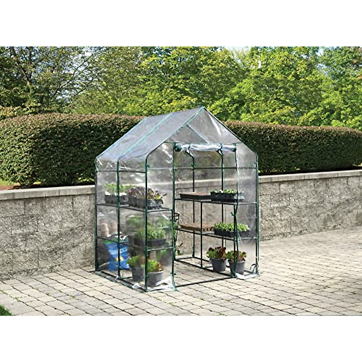 Miracle-Gro 4'8" x 4'8" x 6'5" All-Season Small Walk-in Greenhouse with 8 Wire Shelves for Outdoors, Easy-Access and Durable, Translucent