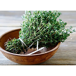 Seeds Common English Thyme Herbs for Planting Non GMO 500 Seeds