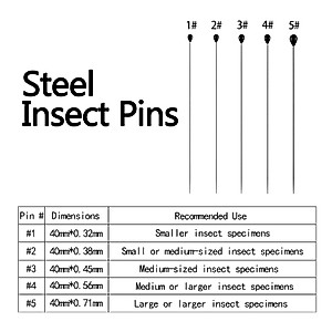 Stainless Steel Insect Pins Kit Specimen Entomology Pins Butterfly Collections Needles Variety Pack for School Lab Entomology Dissection Butterfly Collectors (500 Pieces, 5 Sizes)