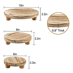Set of 3 Mini Wooden Stool Display Stand - Round Decorative Flower Shelf Bonsai Rack Garden Plant Pot Riser Holder Modern Plant Stand with Wood Grain for Indoor Outdoor Home Patio Decoration (S, M, L)