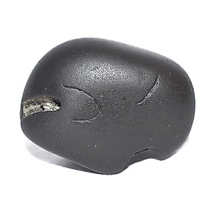 Rudrakshguru Hayagriva Shaligram - Gandaki River Nepal