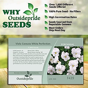Outsidepride Viola White Perfection Garden Flowers for Containers, Hanging Baskets, & Window Boxes - 1000 Seeds