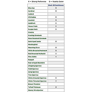 Valley Farms Black Oil Sunflower Seed Wild Bird Food for Outside Feeders, Wild Bird Seed for Outside Feeders, Birdseed (3 LBS)