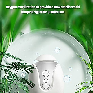 Smart Ozone Deodorizer, Portable Ozone Refrigerator Deodorizer, Mini Rechargeable Freshener for Refrigerator Home Mini Sterilization Equipment