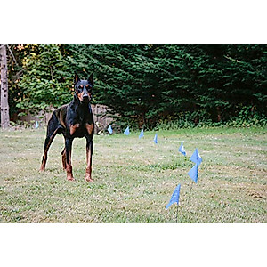 Educator FLAGS-50 Boundary Flags for E-Fence Underground Fence Containment System for Dogs, (Set of 50)