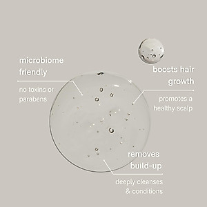 Jack Henry Cleanse + Men Hair Shampoo – Coconut Scented Hair Care Shampoo w/Biotin, Honey, Botanicals & Vitamins – Shampoo for Thick Hair & Scalp - Parabens & Sulfate Free Shampoo for All Hair Types