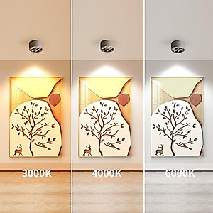 YAOWSZM 2Pack Modern Flush Mount Ceiling Lights 6W LED Dimmable Ceiling Light Fixture Gray Cylindrical Ceiling Spotlight for Living Room Hallway Kitchen