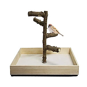 Hamiledyi Bird Perch Stand Tabletop,Parrot Playground Bird Gym Natural Wooden Perch PlayStand Platform for Parrots Parakeets Canaries Cockatiels Conure Lovebirds