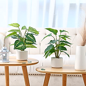 CEWOR Artificial Plants Indoor,2 Pack,11.8 Inch, Fake Plants in Ceramic Pot,Faux Green Leaf Plant with Modern White Planter,Desk Shelf Office Room Home Decoration Indoor