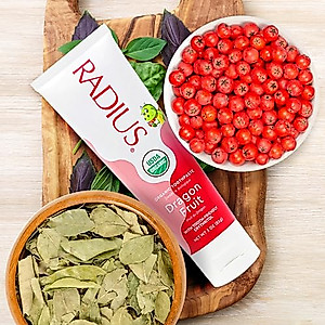 RADIUS USDA Organic Kids Toothpaste 3oz Non Toxic Chemical-Free Gluten-Free Designed to Improve Gum Health for Children's 6 Months and Up - Dragon Fruit - Pack of 1
