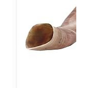 Kosher Yemenite Kudu Horn Shofar Authentic Natural Hand Made in Israel (21.7" - 24")
