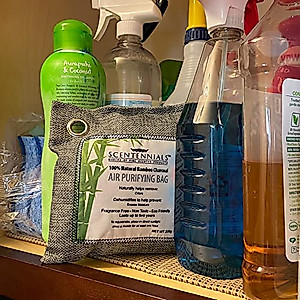 Scentennials Bamboo Charcoal Air Purifying Bag, Activated Charcoal Bags Odor Absorber, Moisture Absorber, Natural Car Air Freshener, Shoe Deodorizer, Odor Eliminators For Home, Pet, Closet (4X200g)