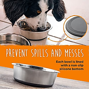 Mighty Paw Stainless Steel Dog Bowls (2 Pack) | Non-Slip Rubber Bottom and No Spill Design. Dishwasher Safe Metal Food & Water Dish Set for Small & Large Pet Breeds. (Small, Dogs <30 lbs, 5.5”)