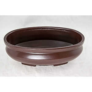 Calibonsai 9 inch Oval Heavy Duty Plastic Bonsai/Succulent Pot + Tray + Rock + Mesh Combo