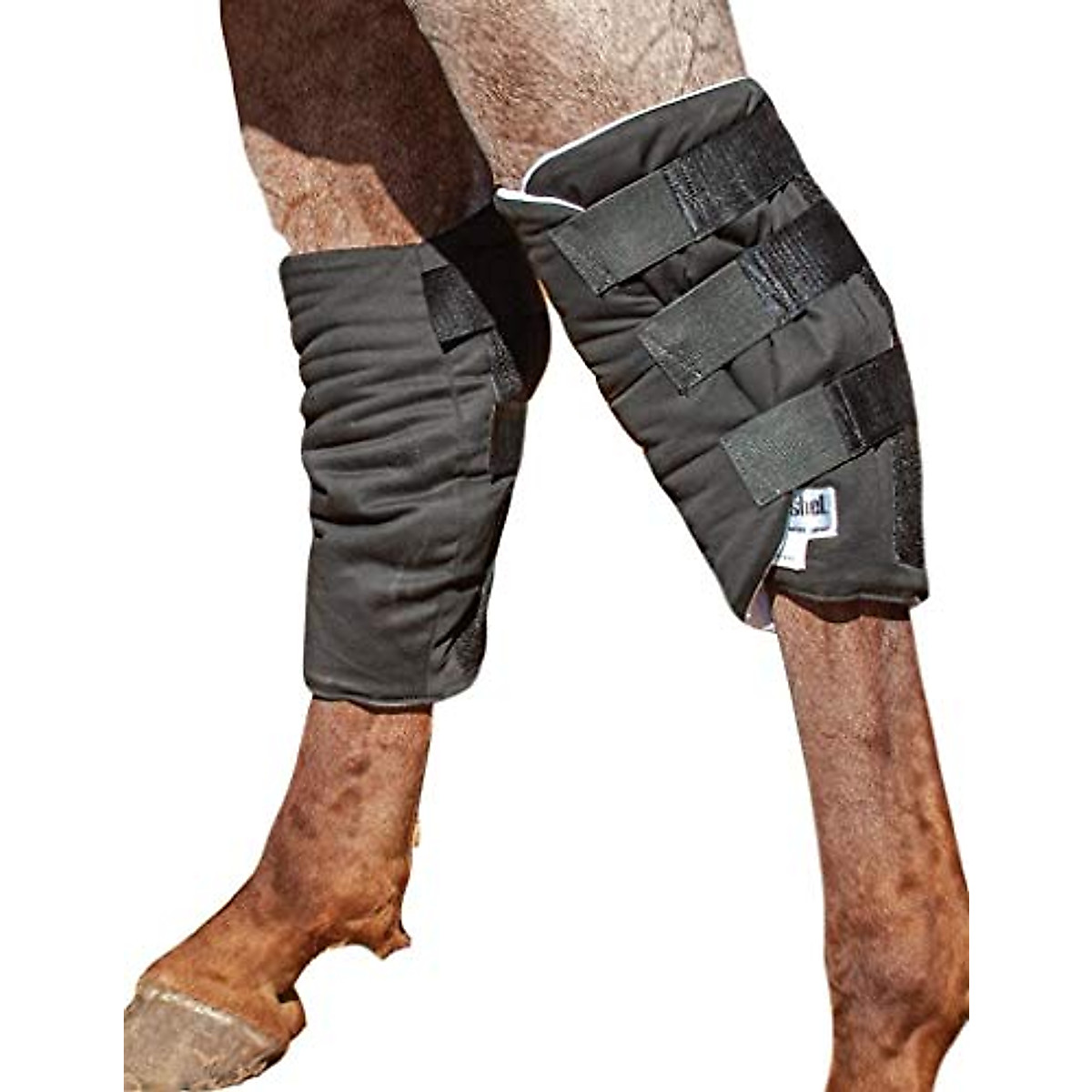 Cashel Boomers Hock Socks, Black, Horse