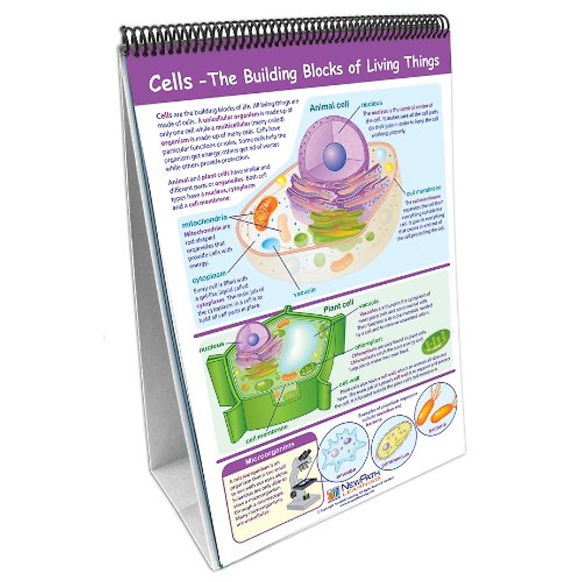 NewPath Learning 10 Piece Mastering Middle School Life Science Curriculum Mastery Flip Chart Set, Grade 5-9 Multi, 12 L X 18 W in