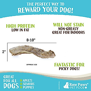 Raw Paws Freeze-Dried Turkey Necks for Dogs, 4-oz (3 Count) - Made in USA - Single Ingredient Dog Chew - Raw Freeze Dried Dog Treats - Dog Freeze Dried Treats - Freeze Dried Treats for Dogs