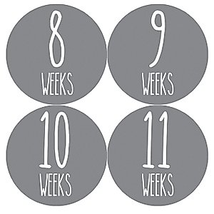 Months In Motion Weekly Pregnancy Growth Sticker | Week to Week Pregnant Expecting Photo Prop | Maternity Keepsake | Baby Bump | Weekly Stickers Photo (Set of 36 Stickers)